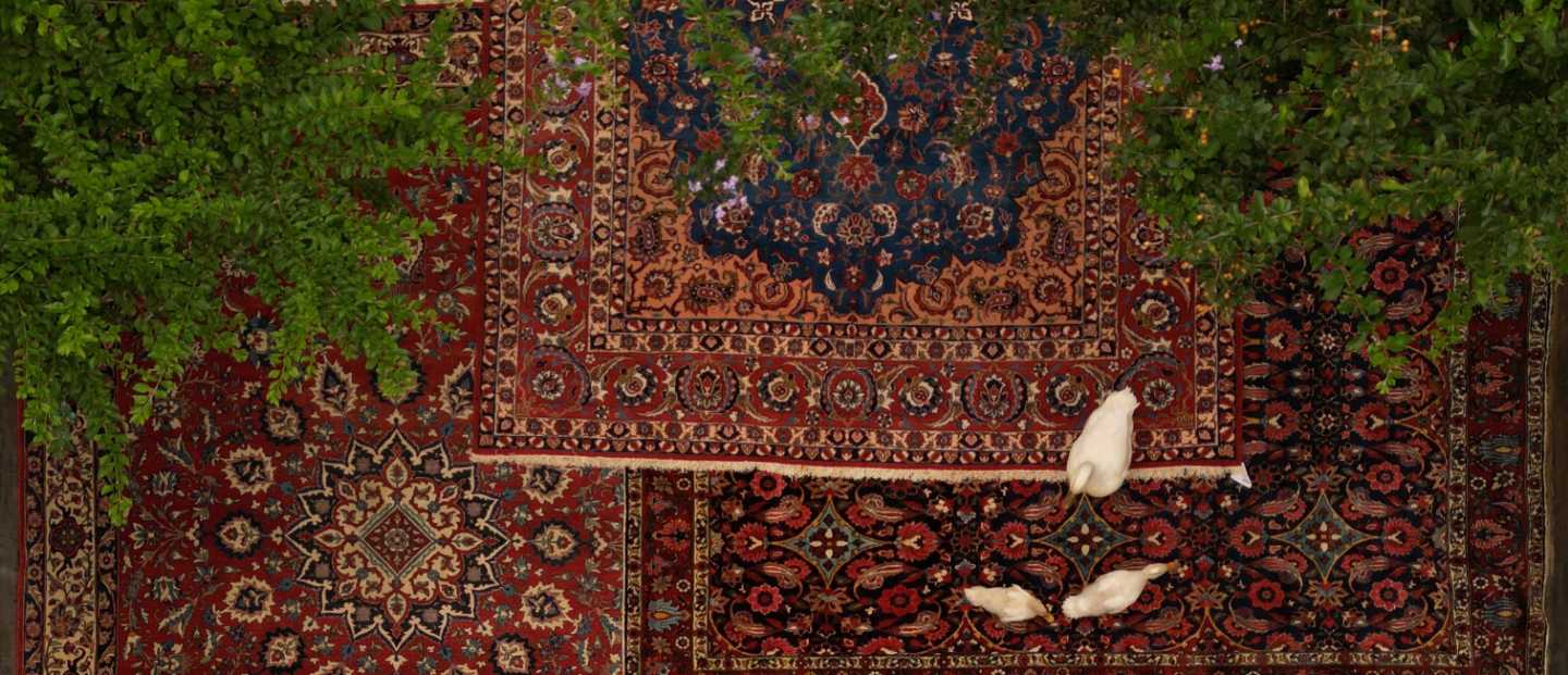 Jaipur Rugs - Handmade Rugs and Carpet Online